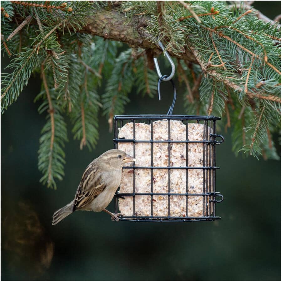 MORE BIRDS Suet Cage Bird Feeder | Home Hardware