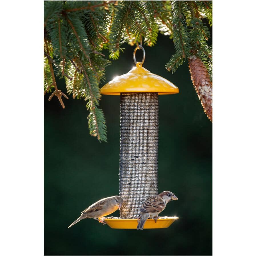 MORE BIRDS 13" Finch Screen Bird Feeder | Home Hardware