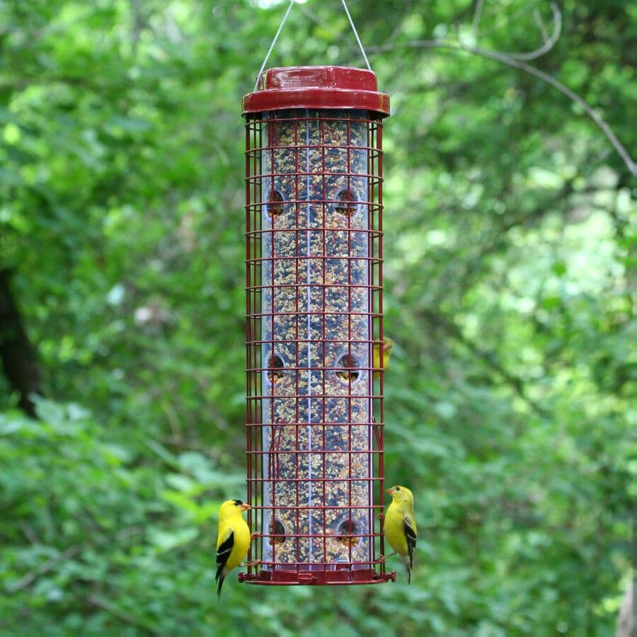 PERKY PET Easy Feeder Tube Bird Feeder | Home Hardware