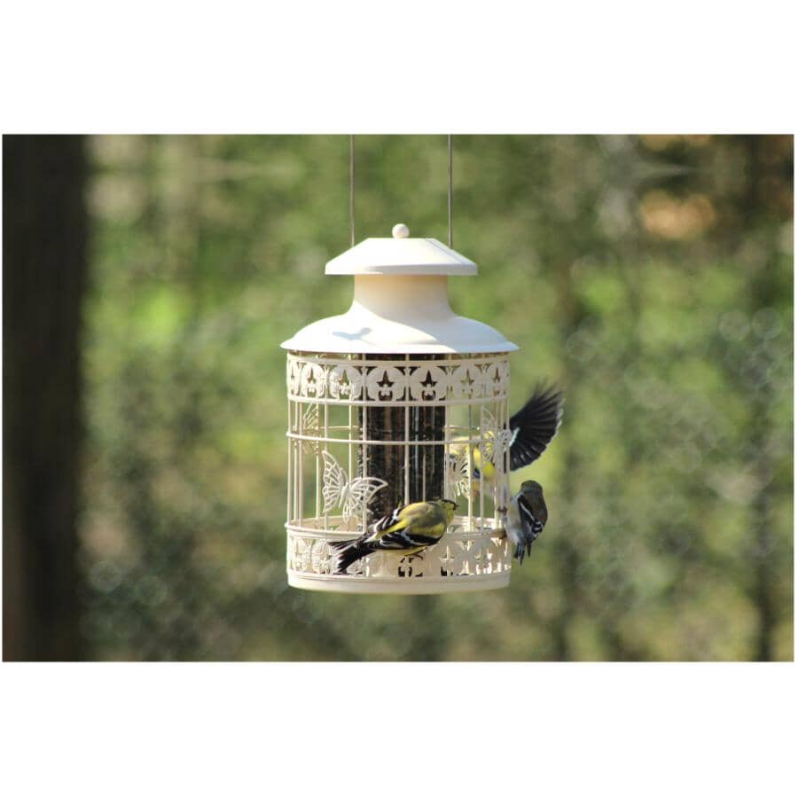 PINEBUSH Squirrel Resistant Vintage Cage Bird Feeder | Home Hardware