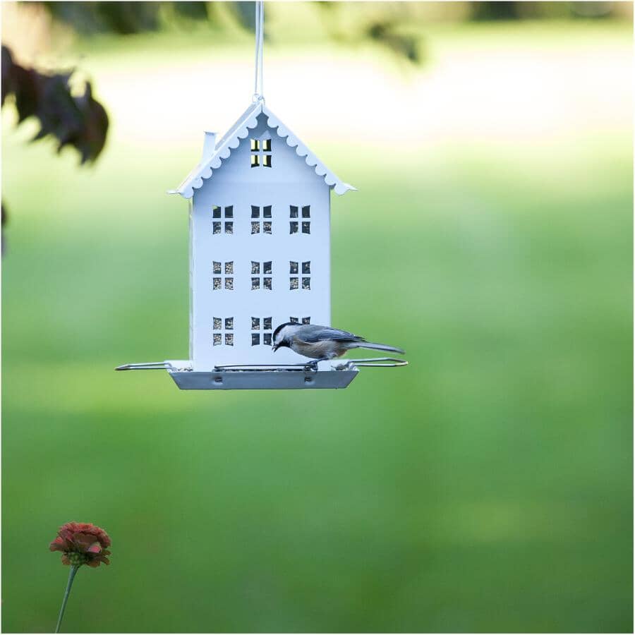 PERKY PET Farmhouse Metal Bird Feeder | Home Hardware
