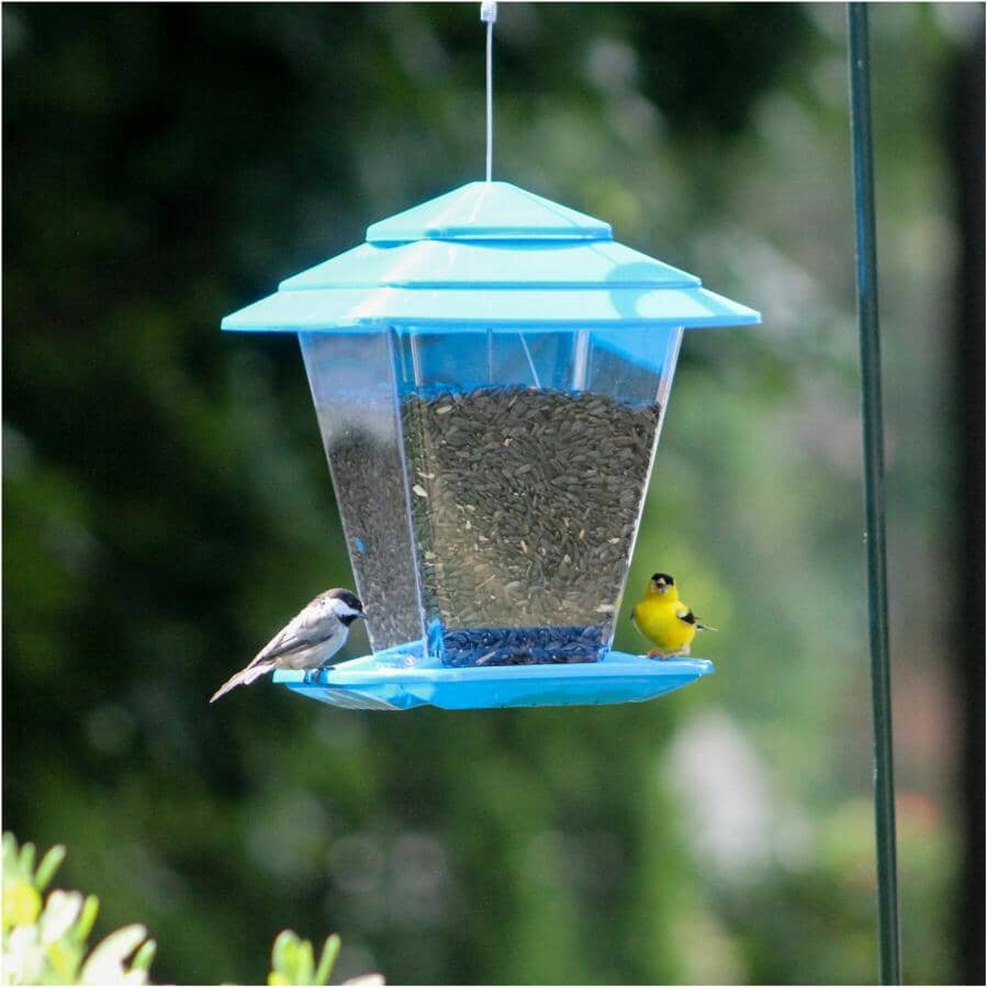 PERKY PET Square Bird Feeder | Home Hardware