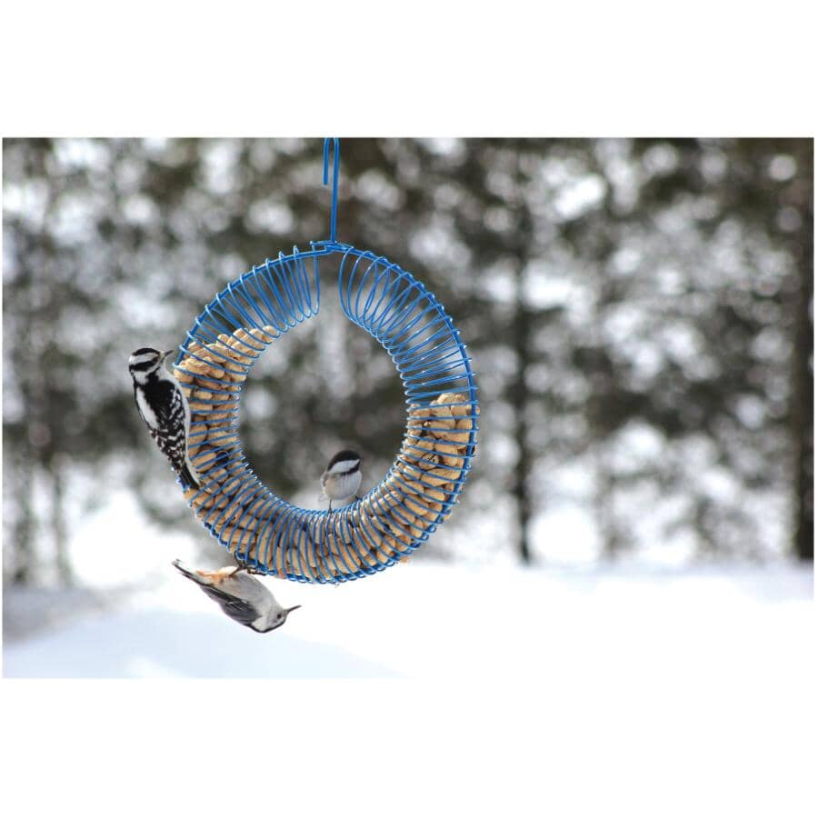 PINEBUSH Coil Wreath Peanut Bird Feeder | Home Hardware