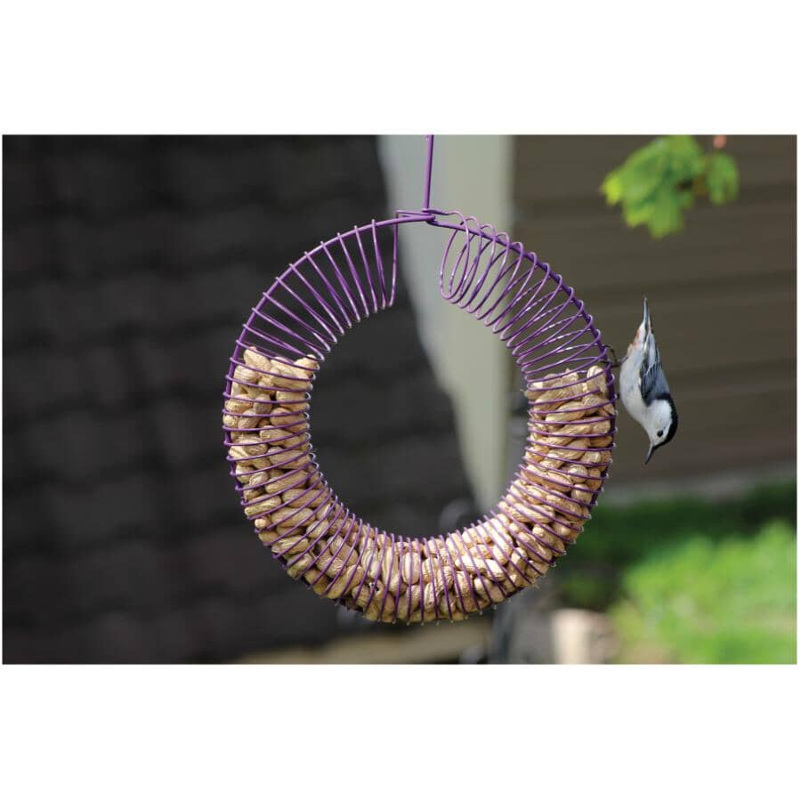 PINEBUSH Coil Wreath Peanut Bird Feeder | Home Hardware