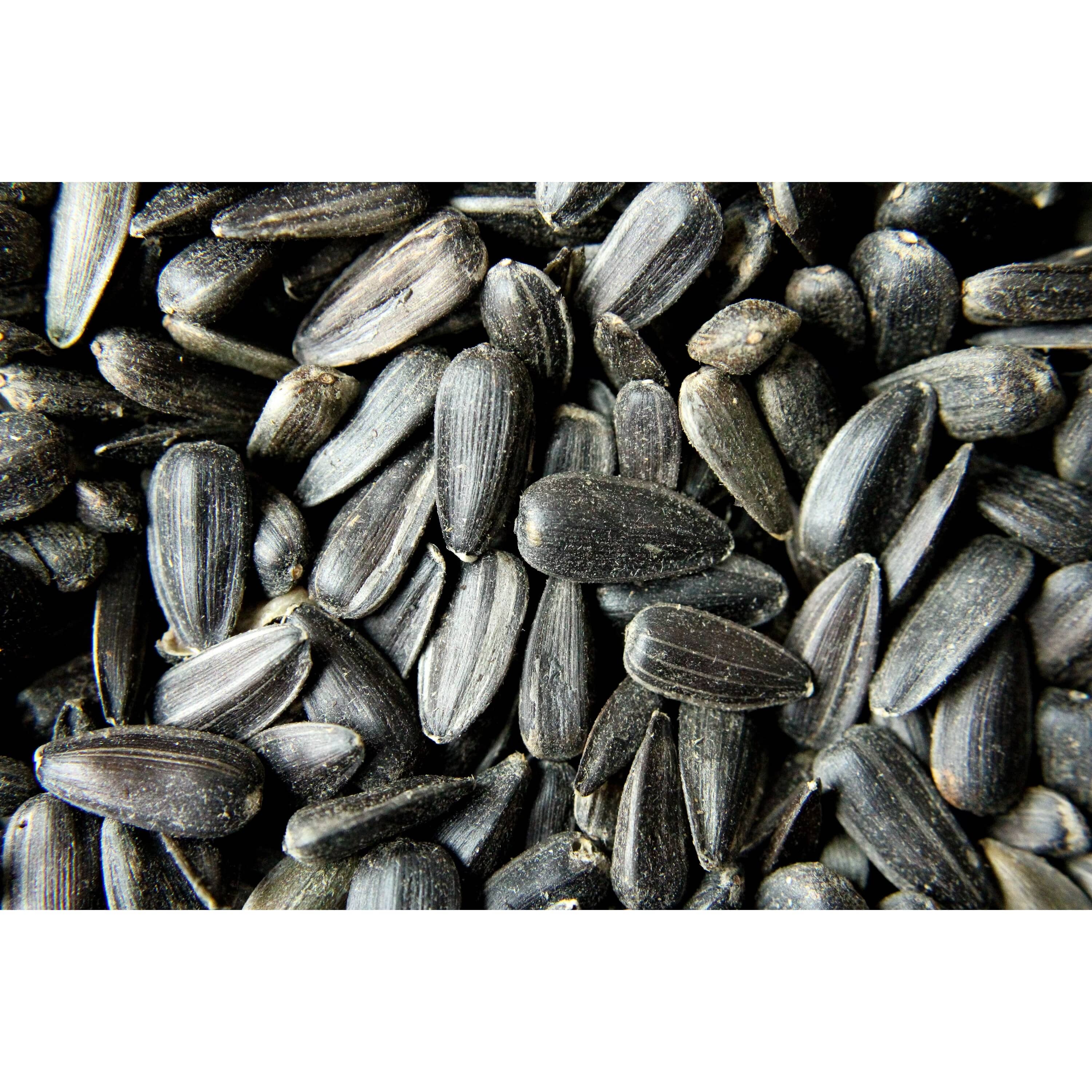 PICK OF THE BIRDS Black Oil Sunflower Bird Seed | Home Hardware
