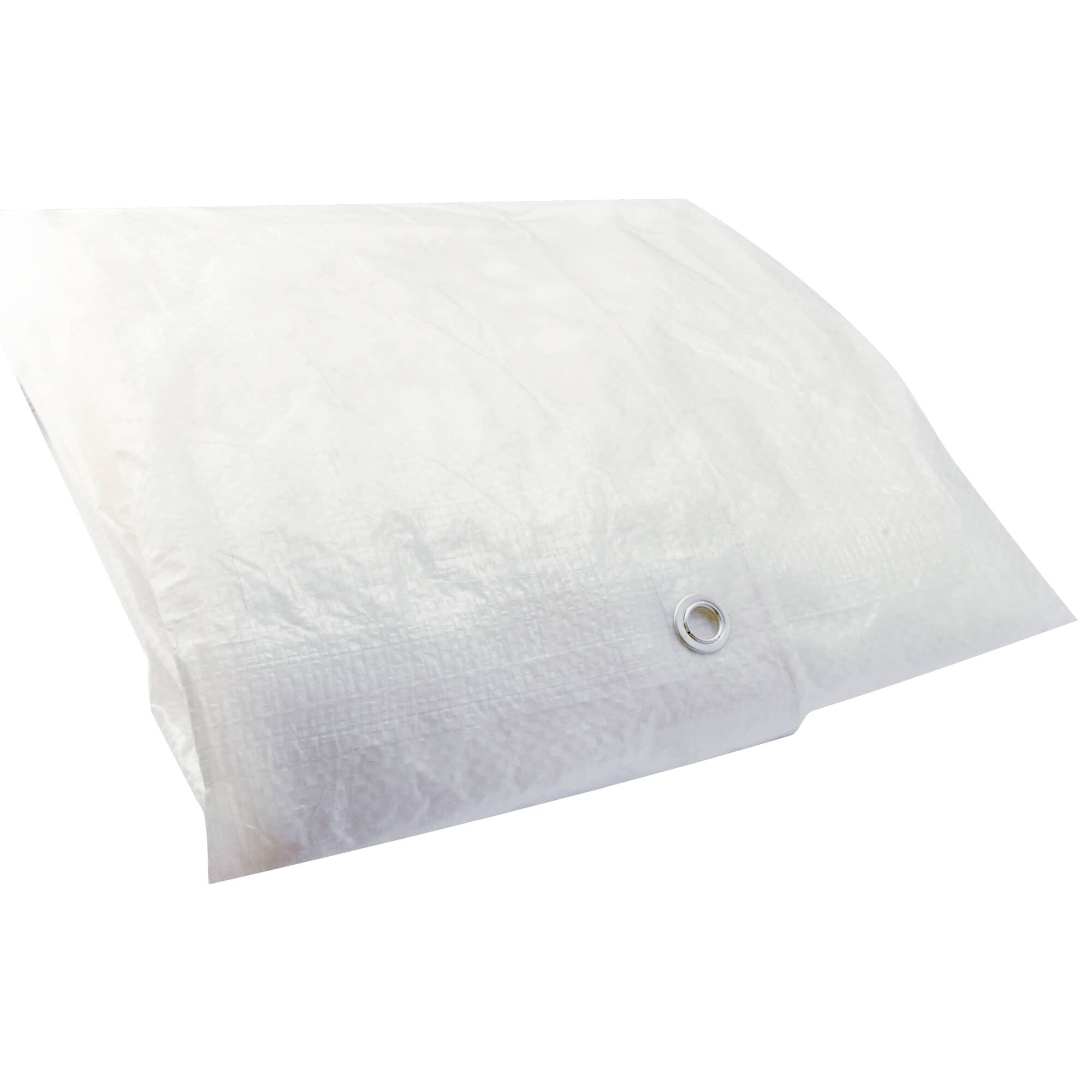 ERICKSON MANUFACTURING 30' x 50' Economy Light Duty Poly Tarp | Home ...