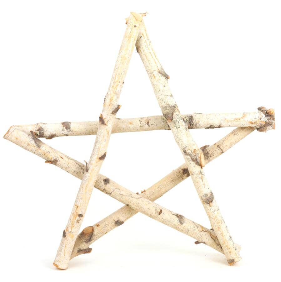 SECOND NATURE DESIGNS 22" Birch Star Tabletop Decor | Home Hardware