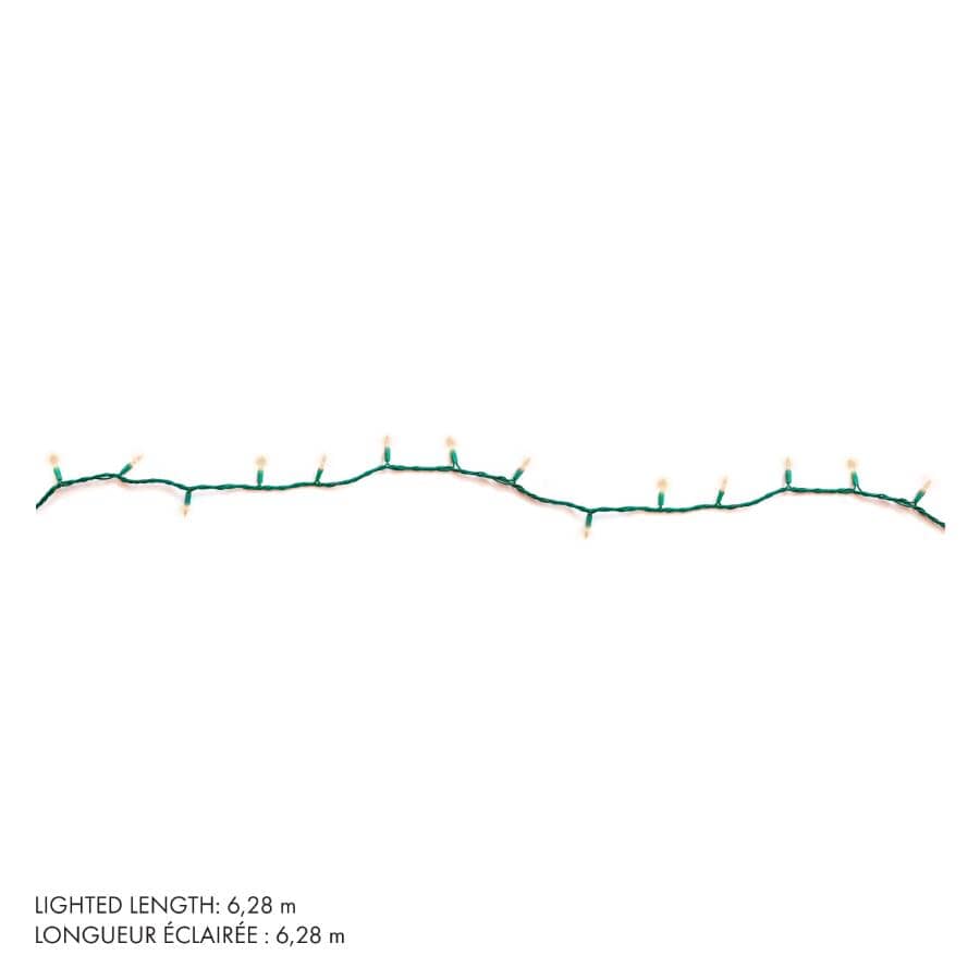 DANSON DECOR 100 LED Warm White Mini Light Set with Green Wire | Home ...