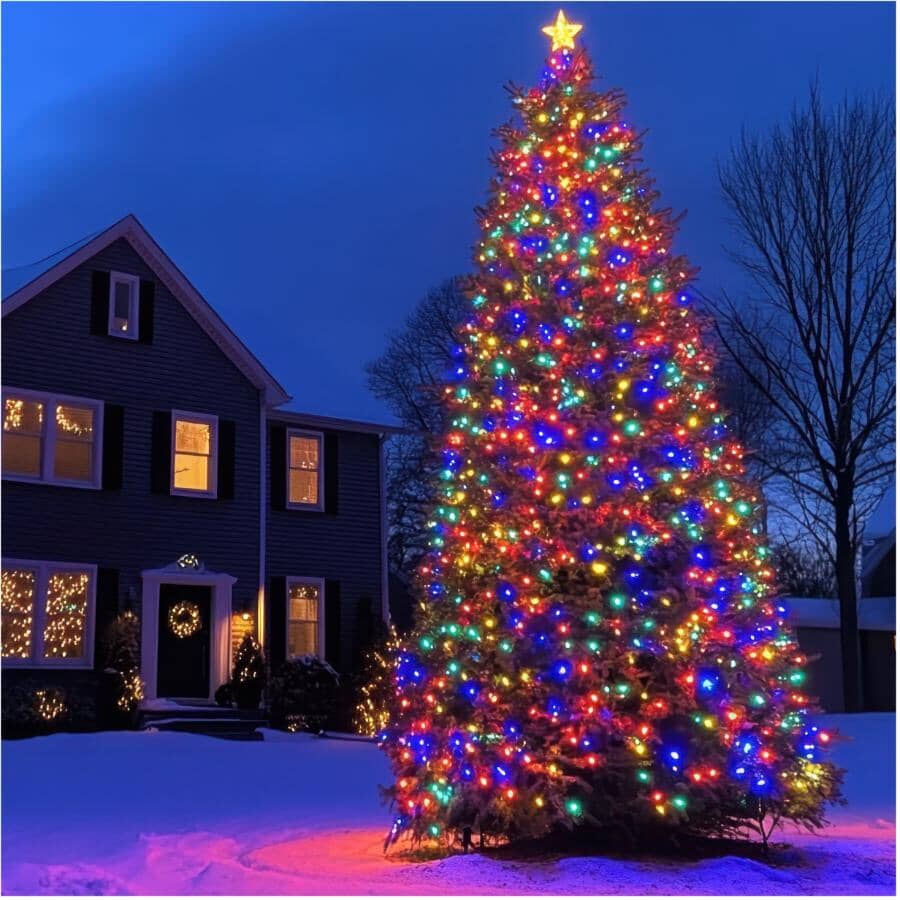 DANSON DECOR 10 Function Rice Light Set | Home Hardware