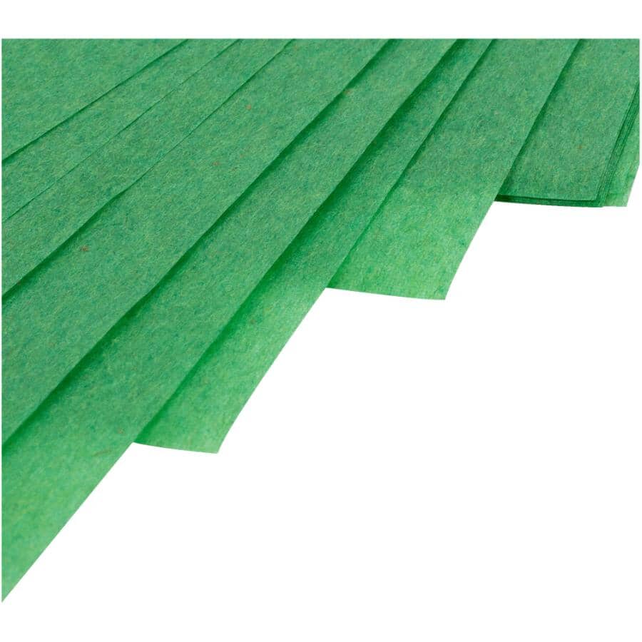 CTG BRANDS Green Tissue Paper | Home Hardware
