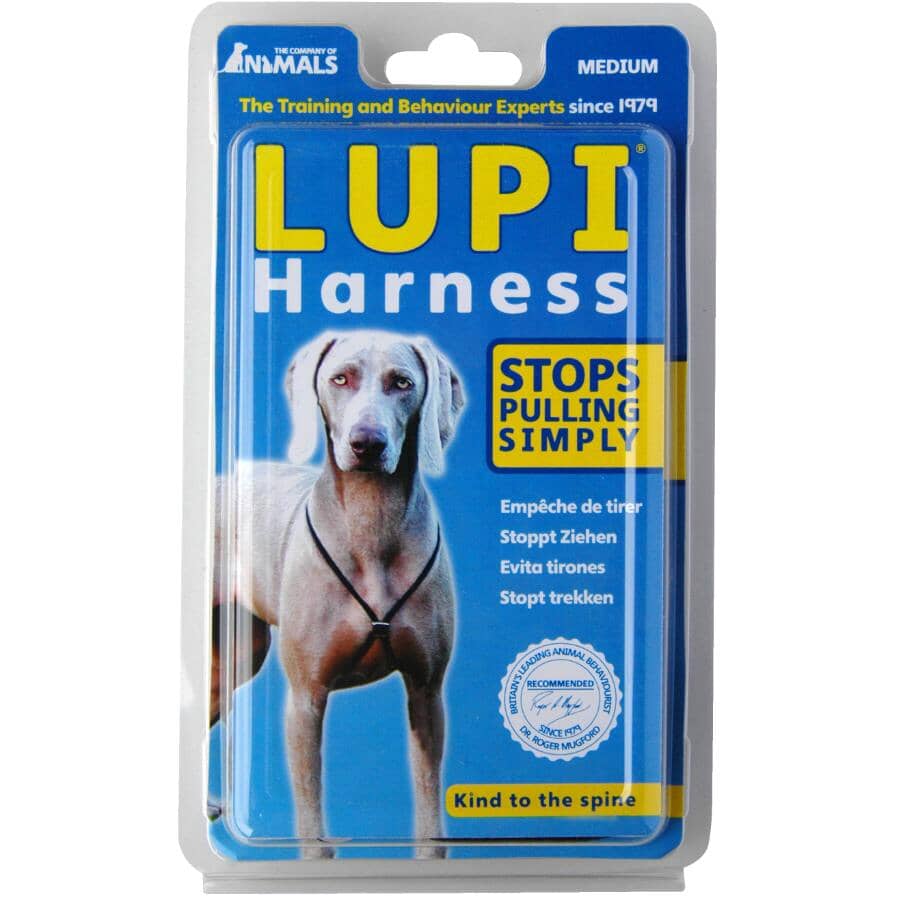 Are Dogs Allowed In Home Hardware