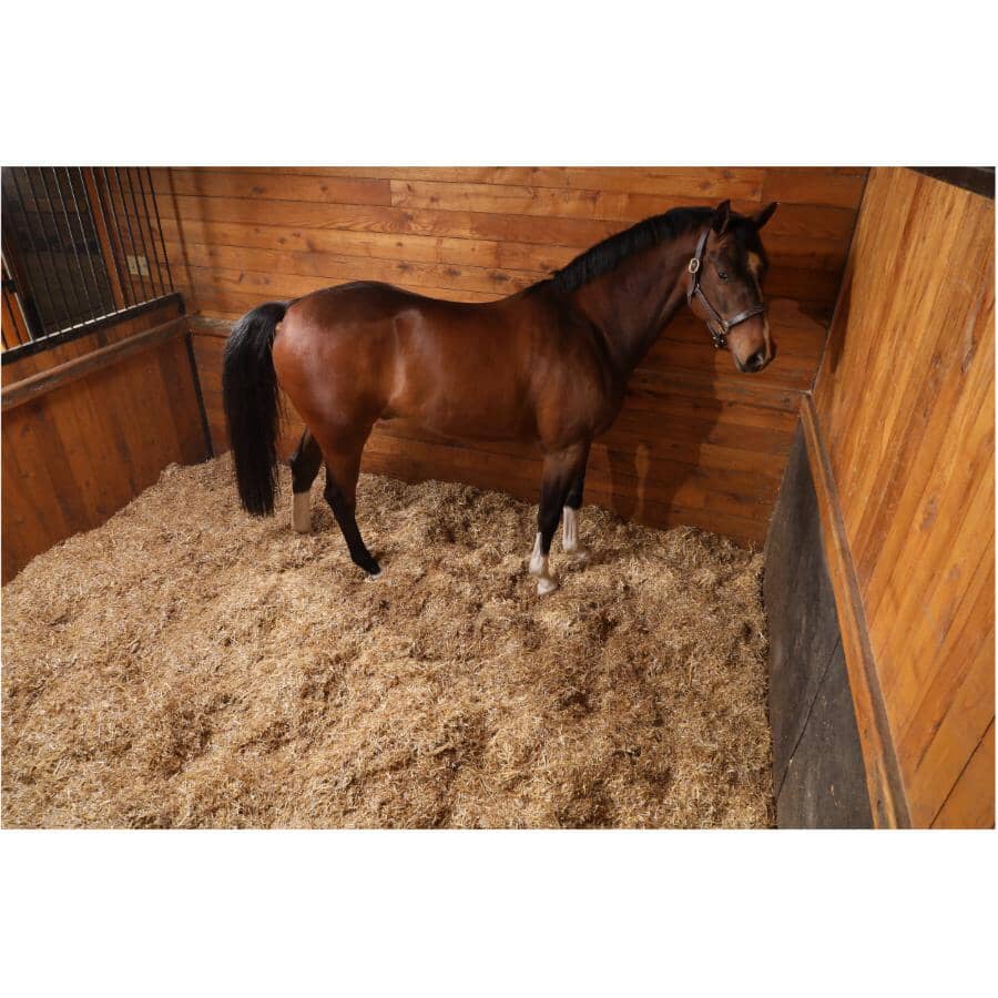 STRAW BOSS Fine Cut Premium Processed Straw | Home Hardware