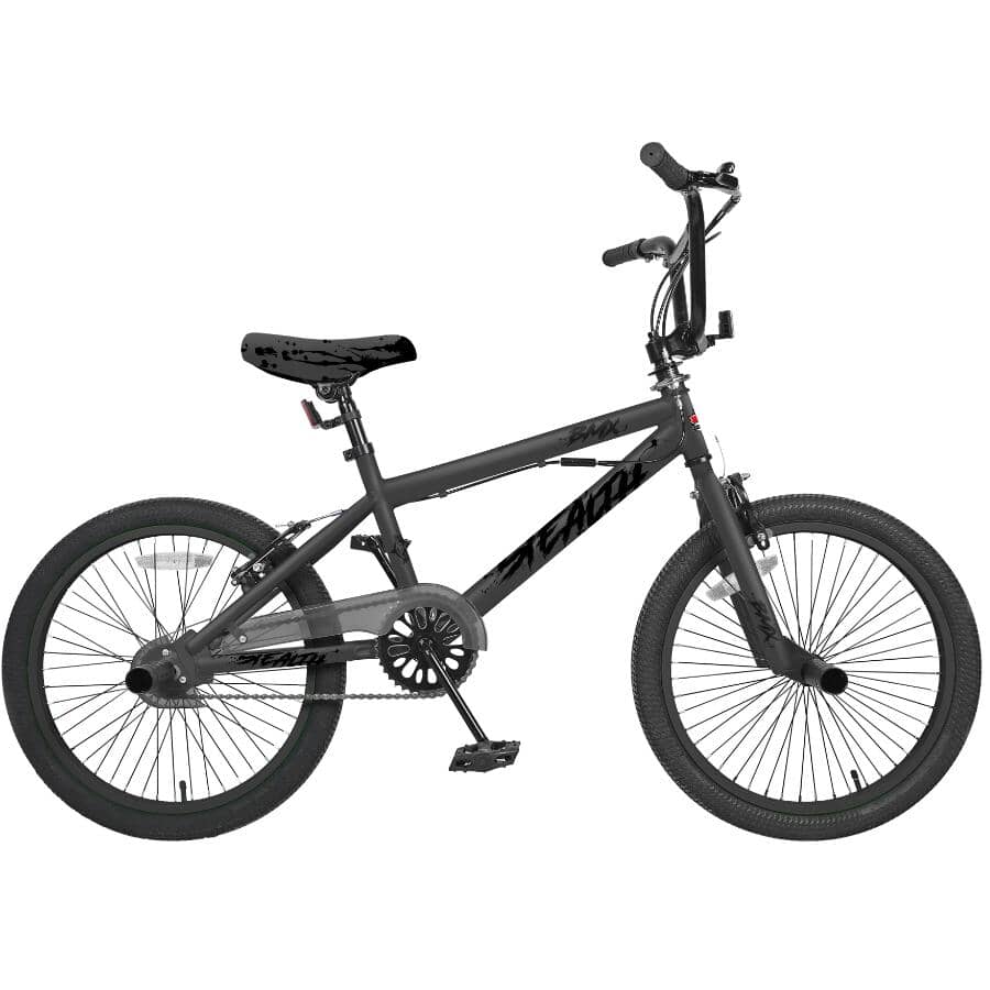 STONERIDGE 20" Stealth Boy's BMX Bike | Home Hardware