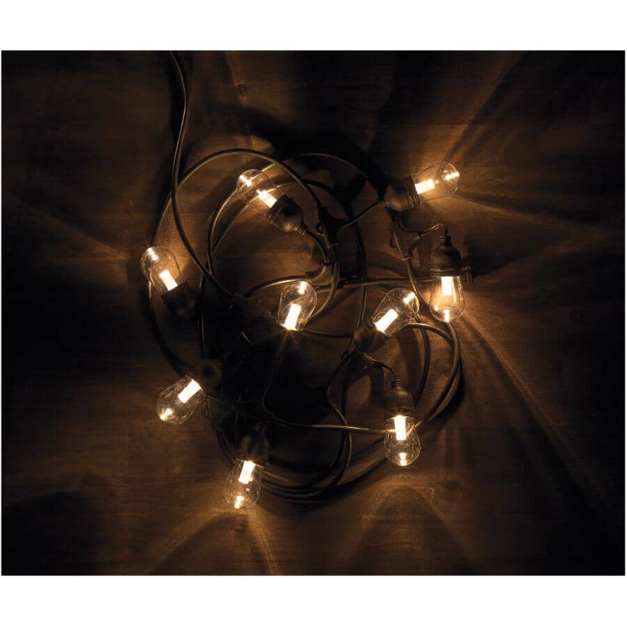 DANSON DECOR S14 Colour Changing Edison Light Set | Home Hardware
