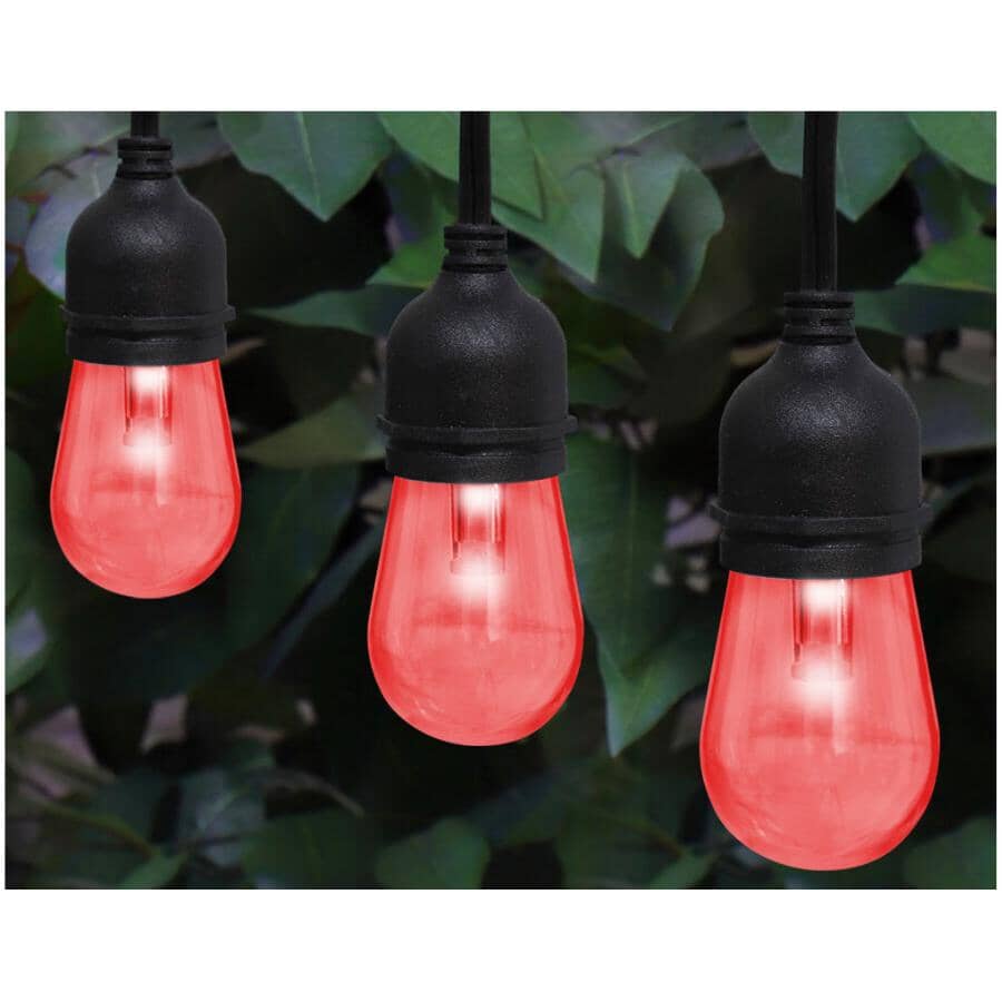 DANSON DECOR S14 Colour Changing Edison Light Set | Home Hardware