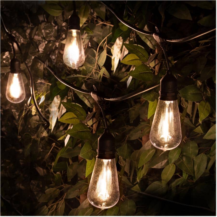 DANSON DECOR LED Warm White Jumbo Edison Light Set | Home Hardware