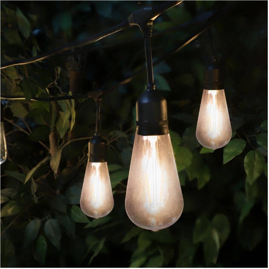DANSON DECOR LED Warm White Jumbo Edison Light Set | Home Hardware