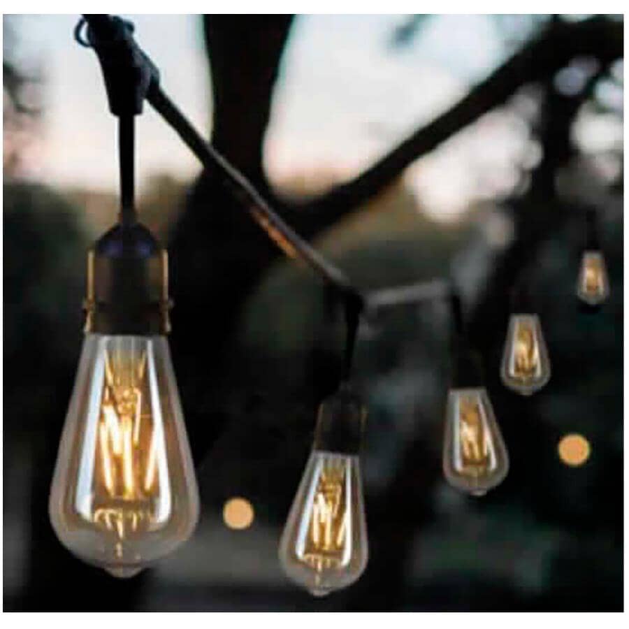 DANSON DECOR LED Warm White Jumbo Edison Light Set | Home Hardware