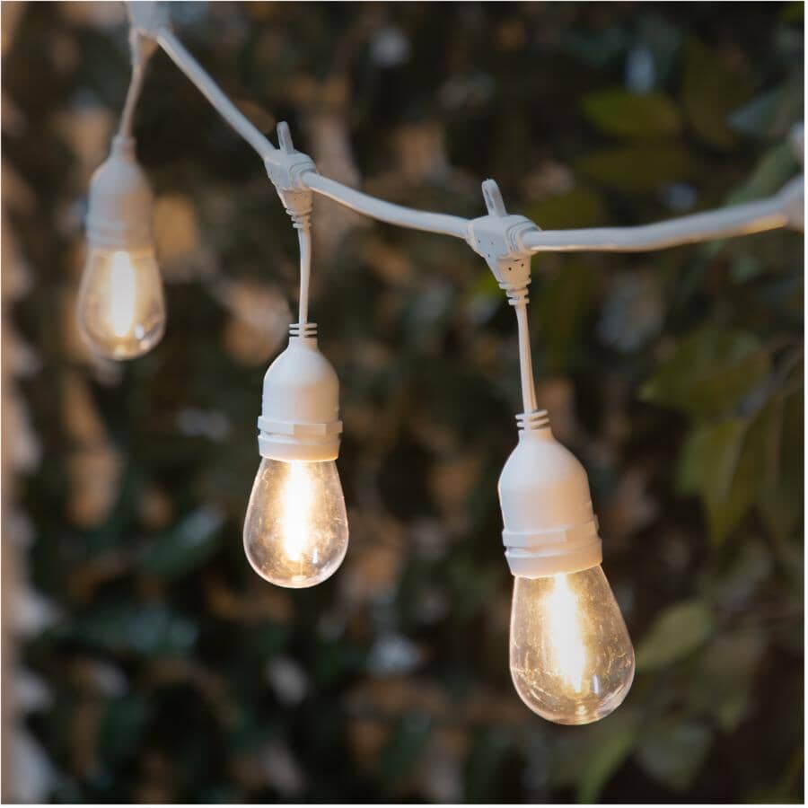 DANSON DECOR S14 Warm White Edison Light Set | Home Hardware