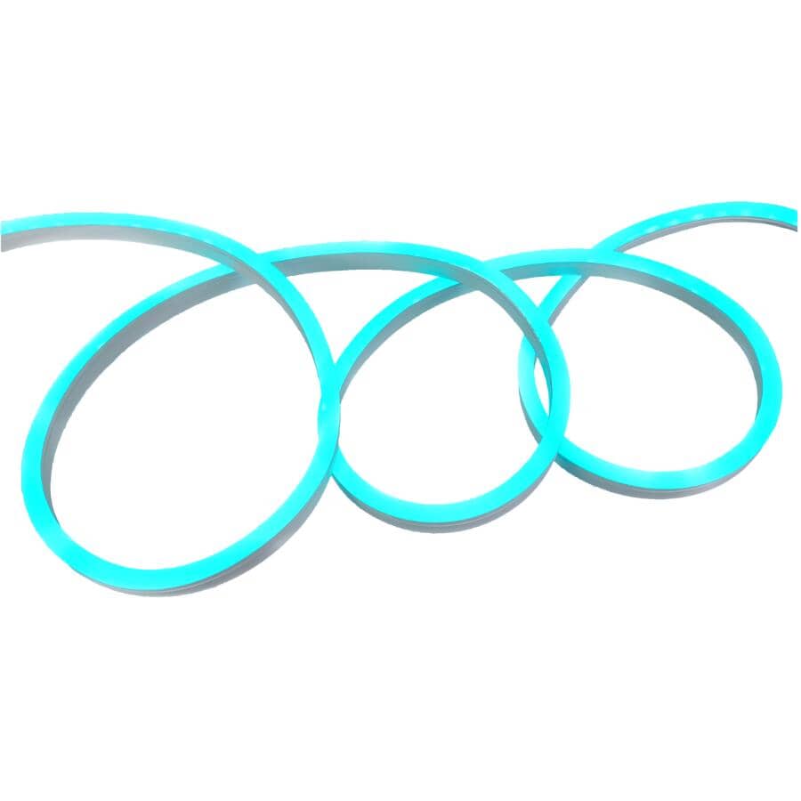 DANSON DECOR LED Neon Tape Light | Home Hardware