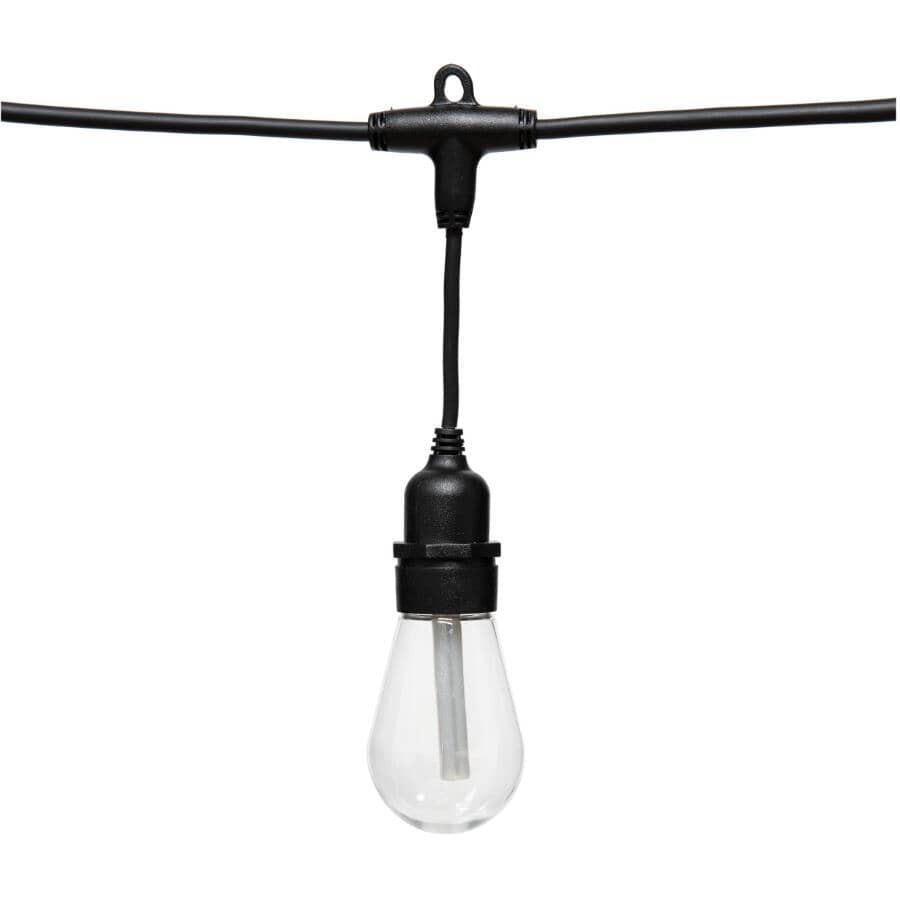 DANSON DECOR Flickering Flame LED Edison Light Set | Home Hardware