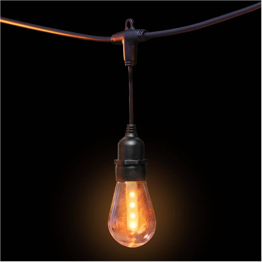 DANSON DECOR Flickering Flame LED Edison Light Set | Home Hardware