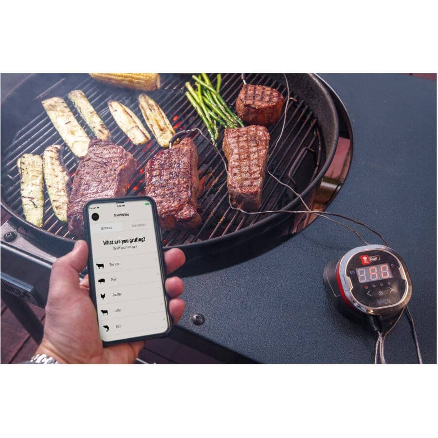 WEBER iGrill 2 Barbecue Thermometer | Home Hardware