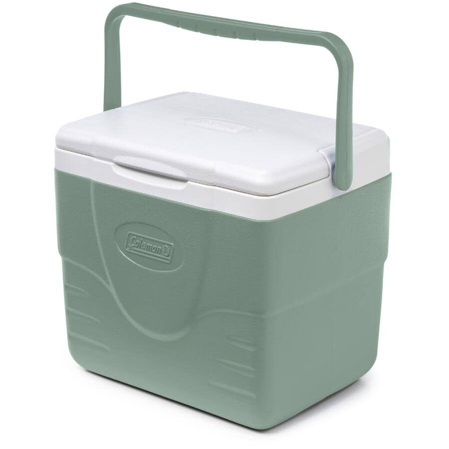 COLEMAN Chiller 9 Qt Cooler | Home Hardware