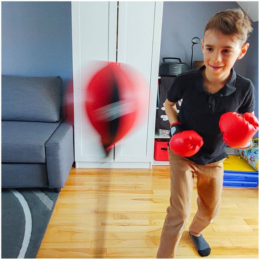 DANAWARES Free Standing Boxing Set with Boxing Gloves | Home Hardware