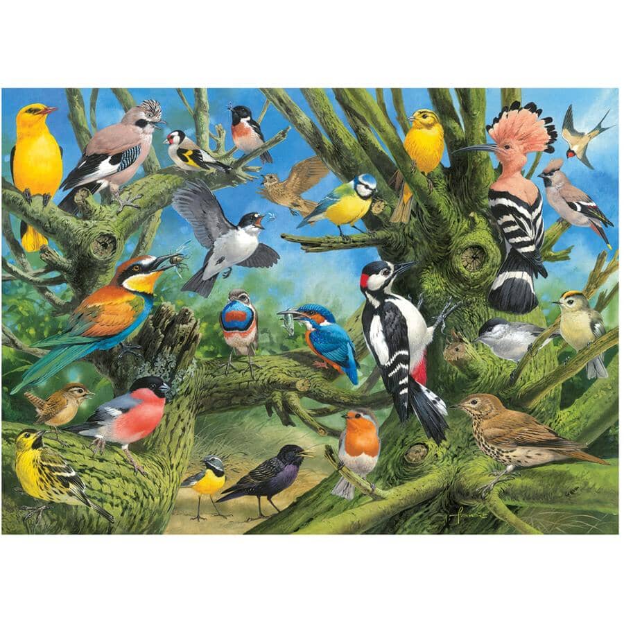 EUROGRAPHICS Garden Birds Puzzle | Home Hardware