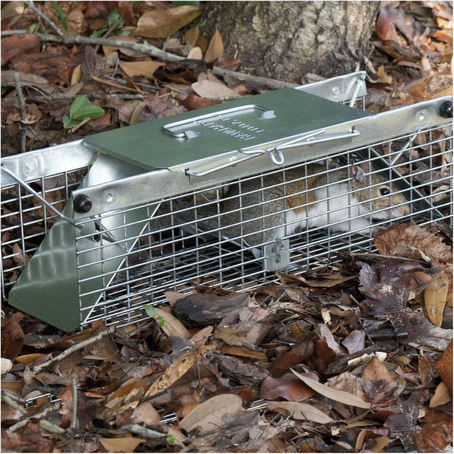 HAVAHART 17" x 5" x 5" Live Animal Trap | Home Hardware